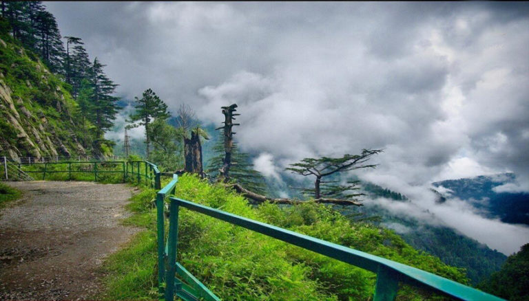 Things to do in Nathia Gali - Best Places to visit in Nathia Gali