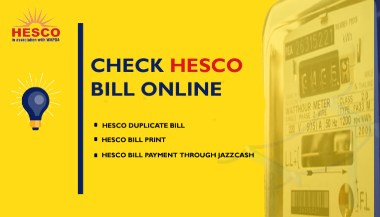HESCO Online Bill Check | Get Duplicate HESCO Electricity Bill